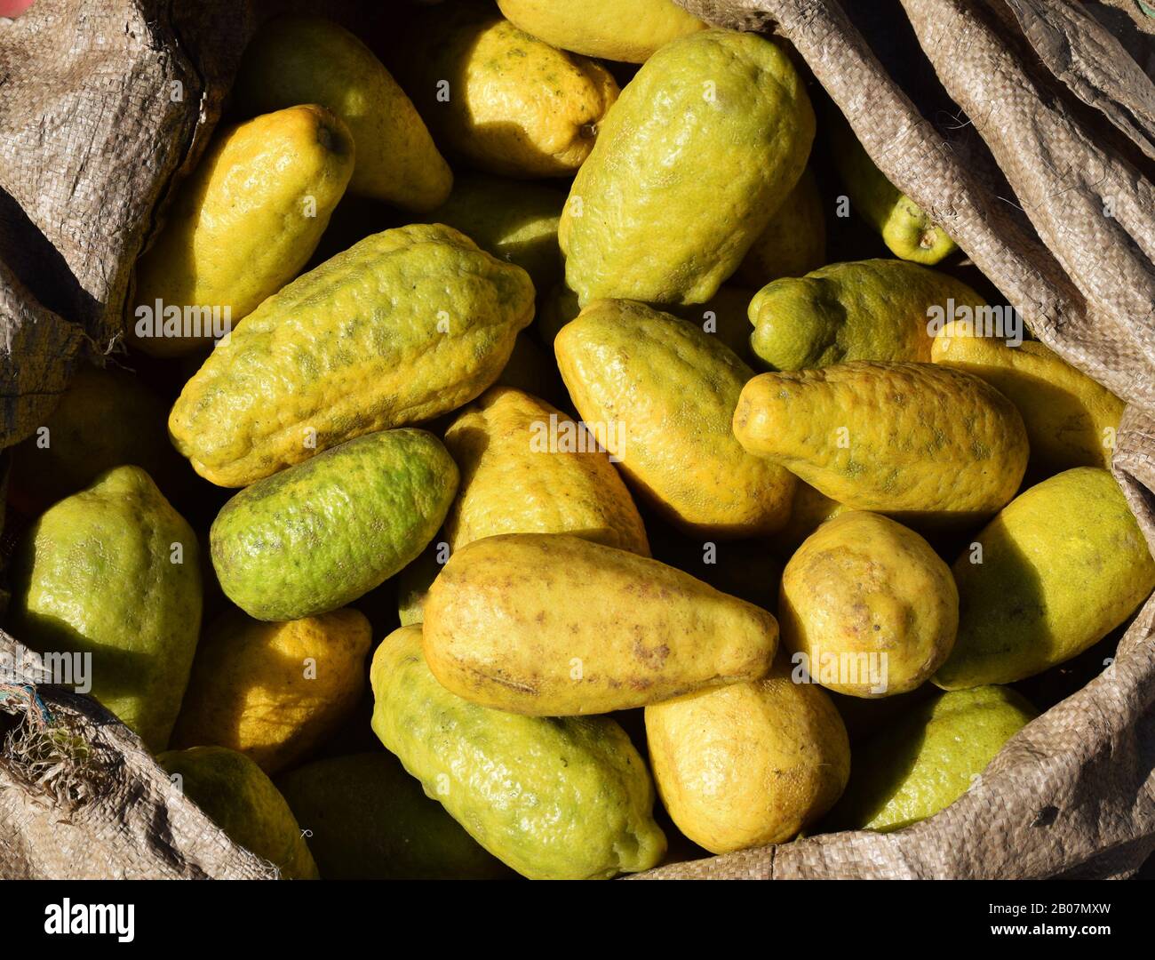 Gondhoraj lebu hi-res stock photography and images - Alamy