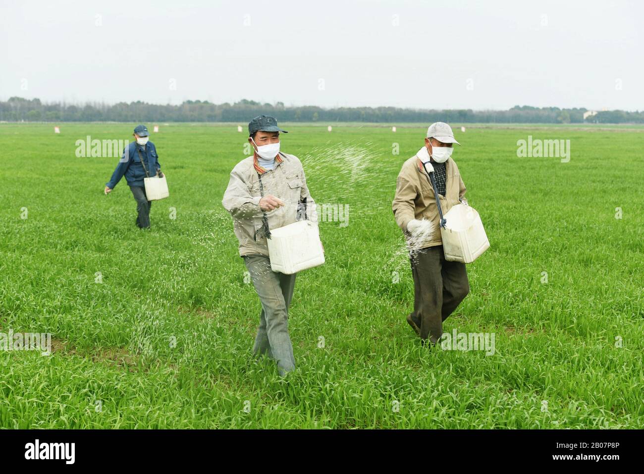 February 19, 2020, Zhejiang, Zhejiang, China: Farmers spread ecological ...