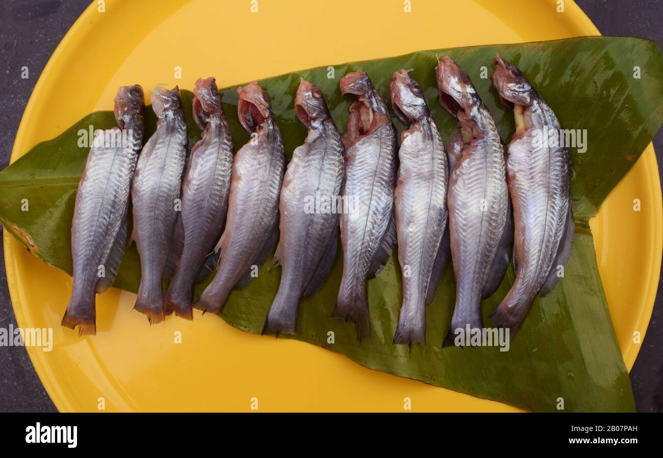Fresh Tengra fish of West Bengal over banana leaf Stock Photo - Alamy