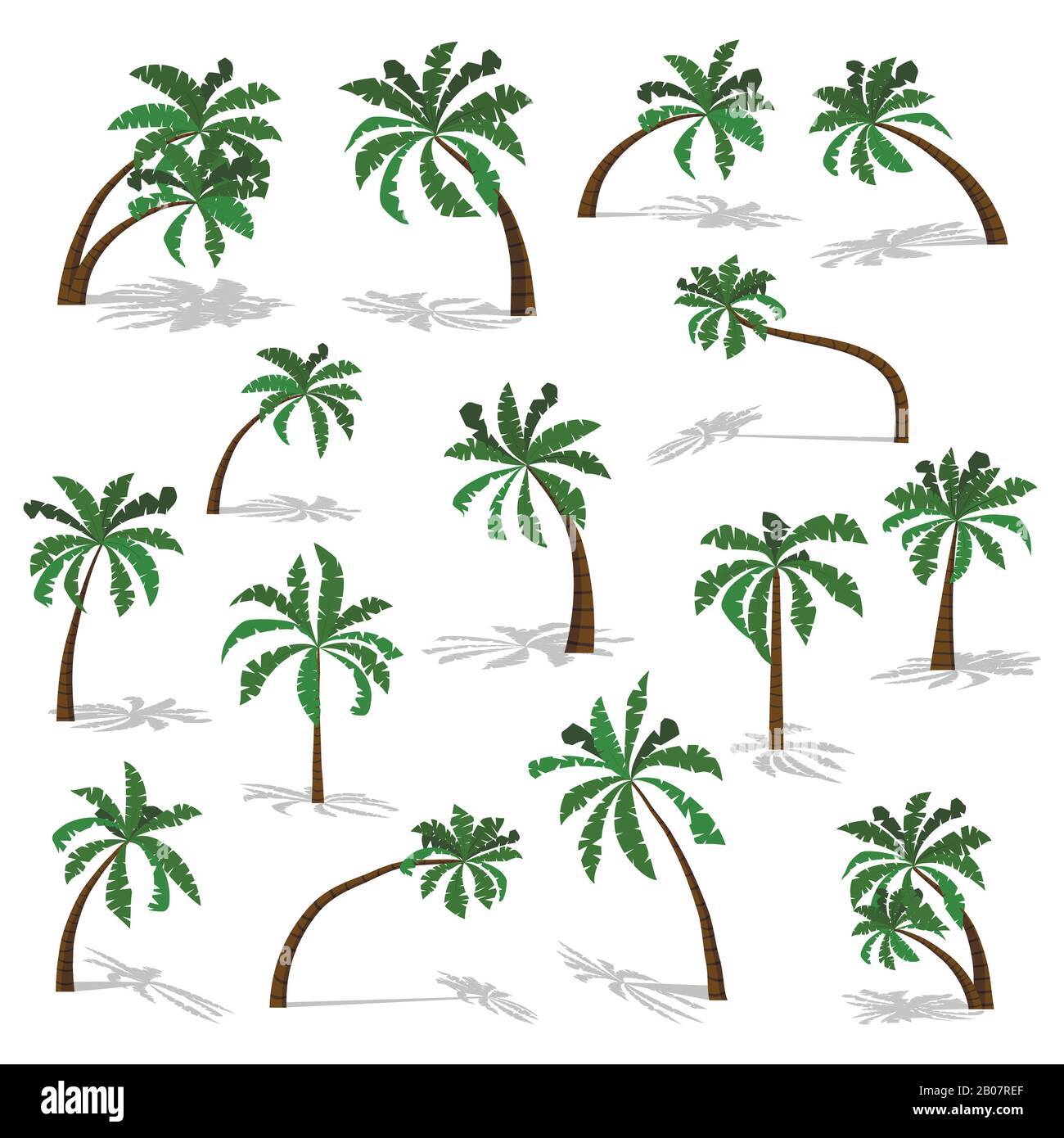 Green palm trees set with shadow isolated on white background Stock ...