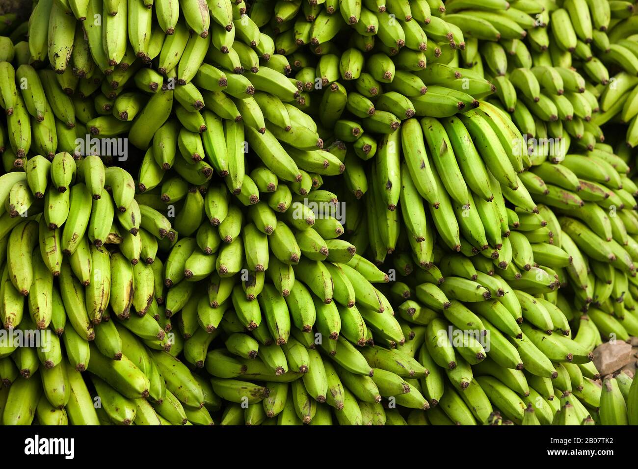 Bananas at Atalaya Village in Peru Stock Photo - Alamy