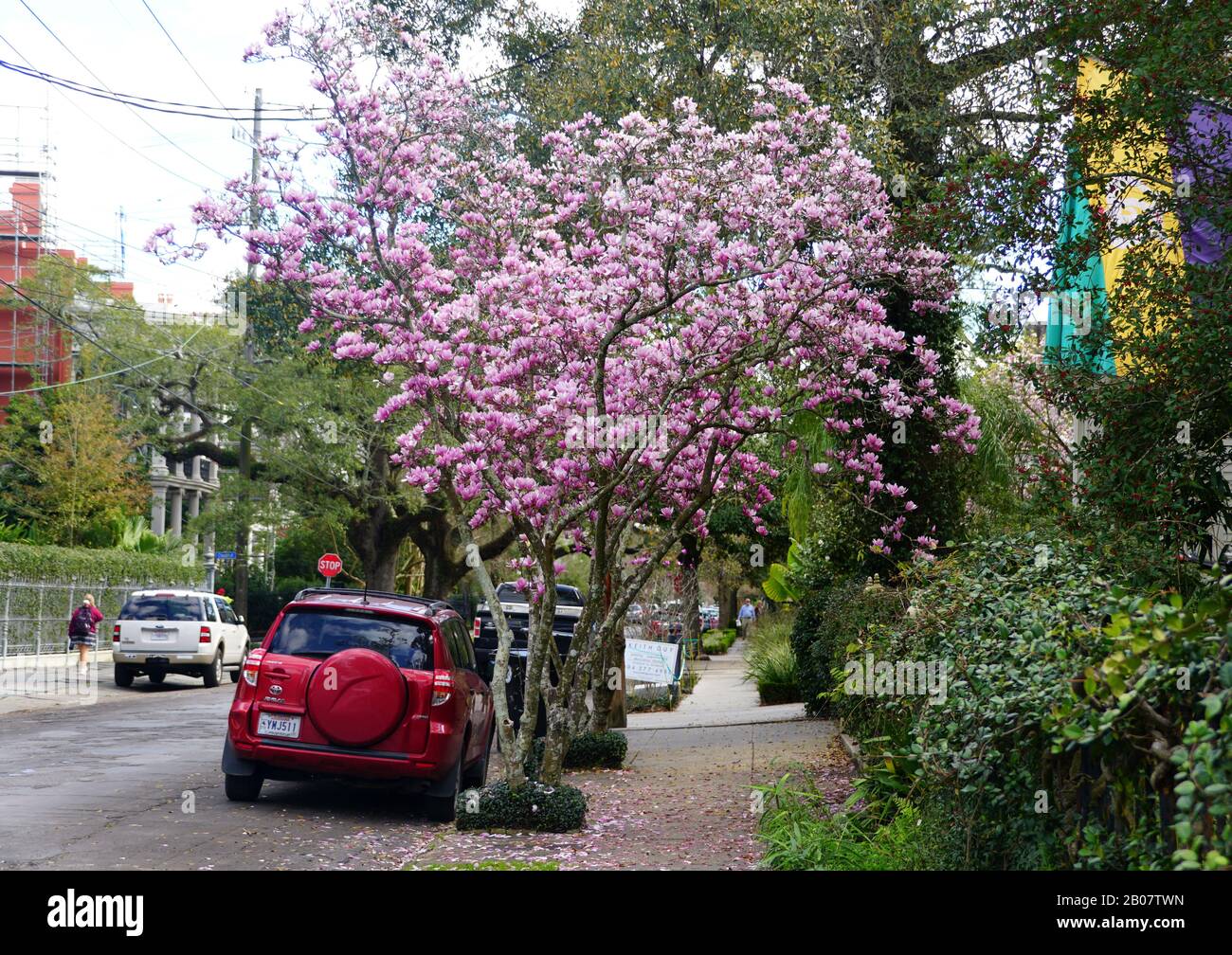 Magnolia mansion new orleans hi-res stock photography and images - Alamy