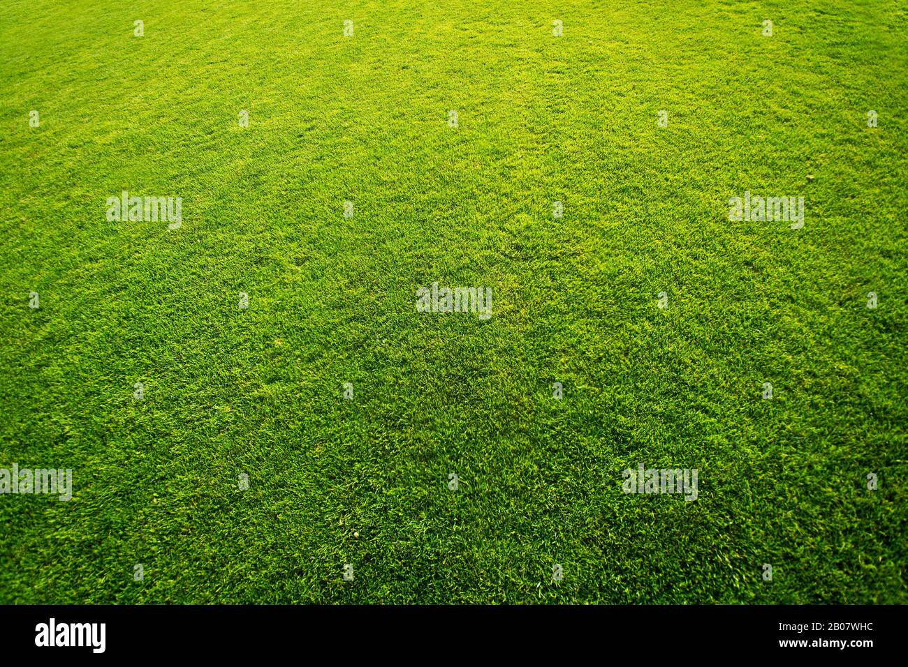 Fresh green grass on golf field pattern background Stock Photo - Alamy