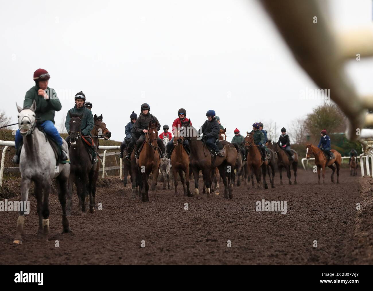 Horses go through their paces during the visit to Willie Mullins ...