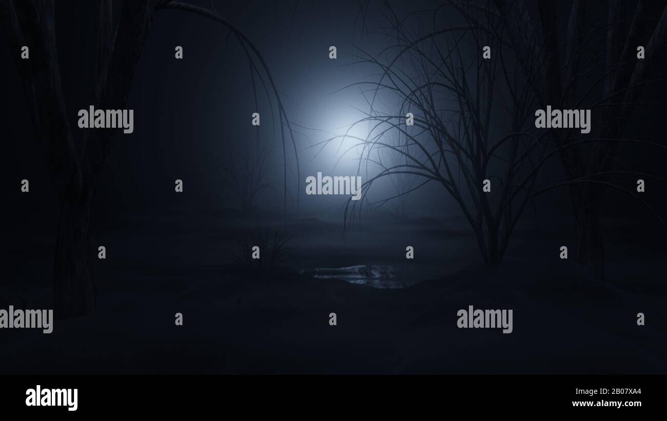 creepy swamp forest at night with moonlight 3d rendering illustration ...