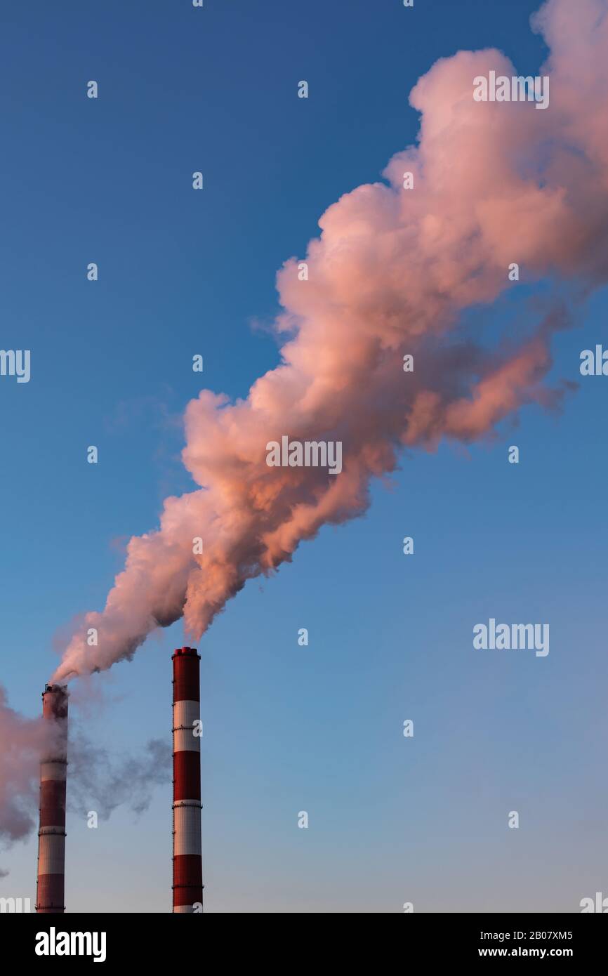 Two pipes of a boiler room with thick pink smoke at sunset. Beautiful ...