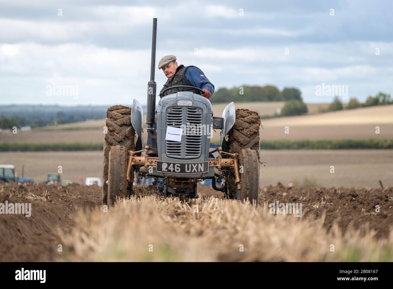 Grey gray and gold Vintage tractor Farmer ploughs his field in England ...
