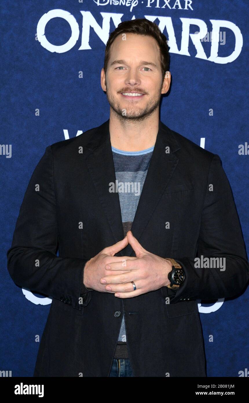 NEW YORK, FEBRUARY 18: Chris Pratt at the Premiere of Onward at El ...