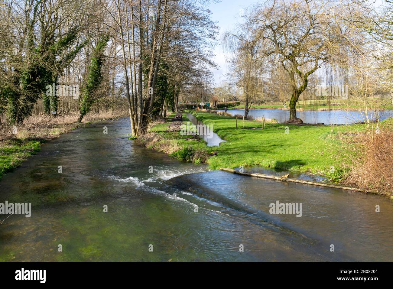 River Dever, Winchester, Hampshire, England, UK Stock Photo - Alamy
