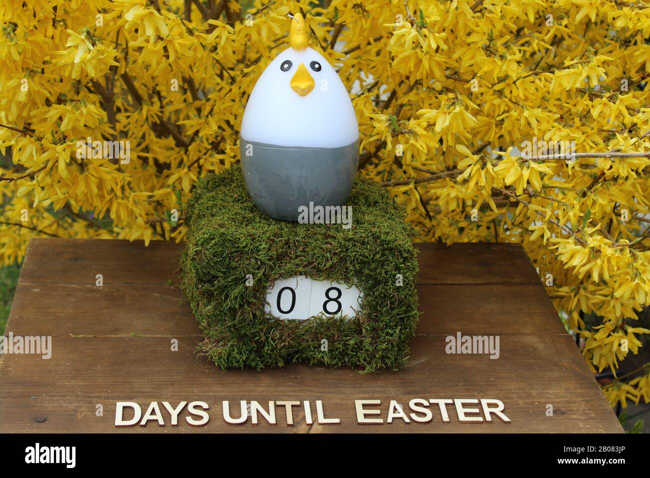 The picture shows the easter countdown with a chicken Stock Photo - Alamy