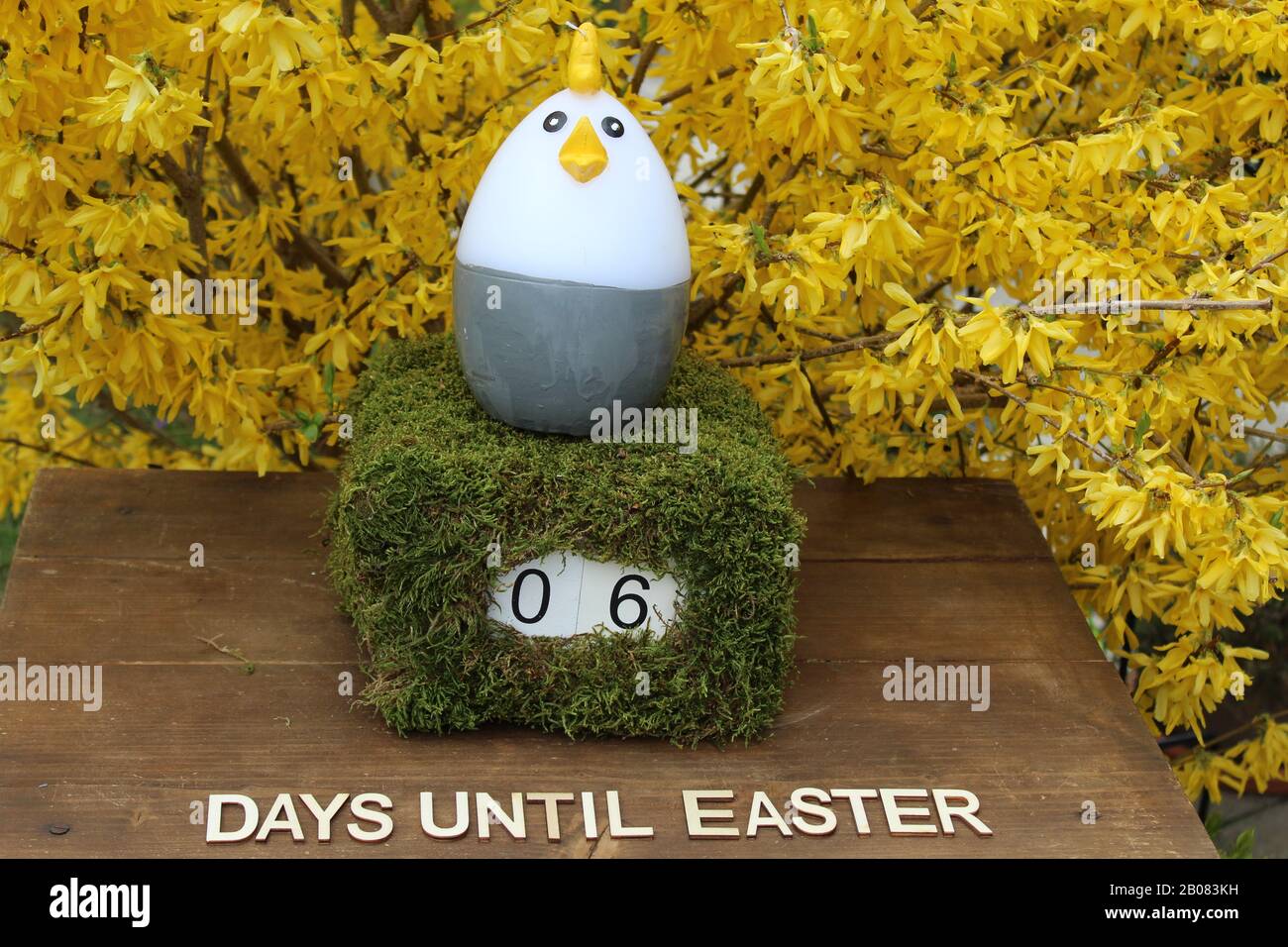 The picture shows the easter countdown with a chicken Stock Photo - Alamy