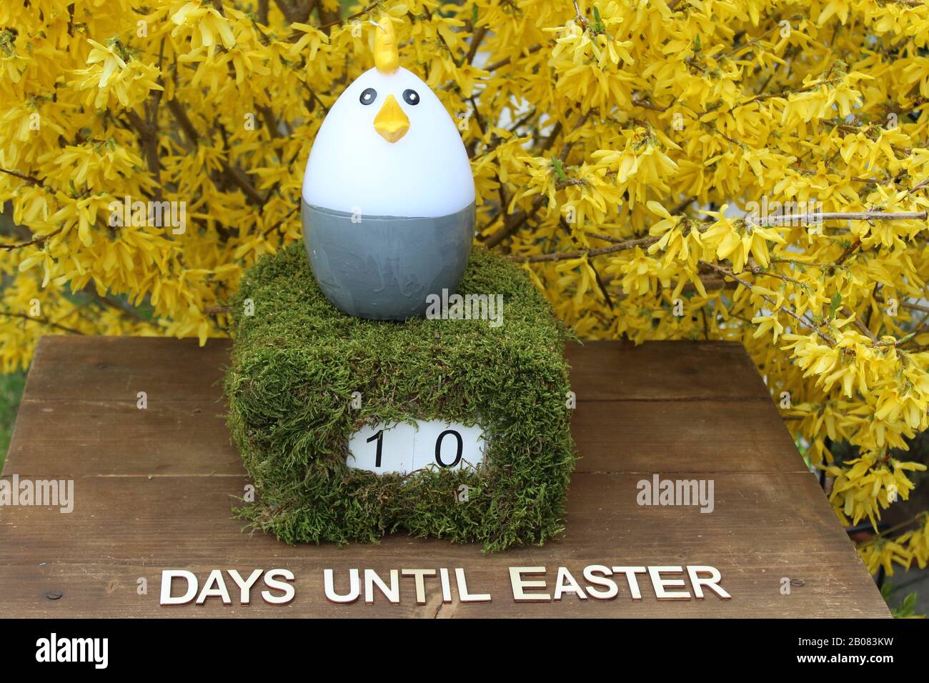 The picture shows the easter countdown with a chicken Stock Photo - Alamy