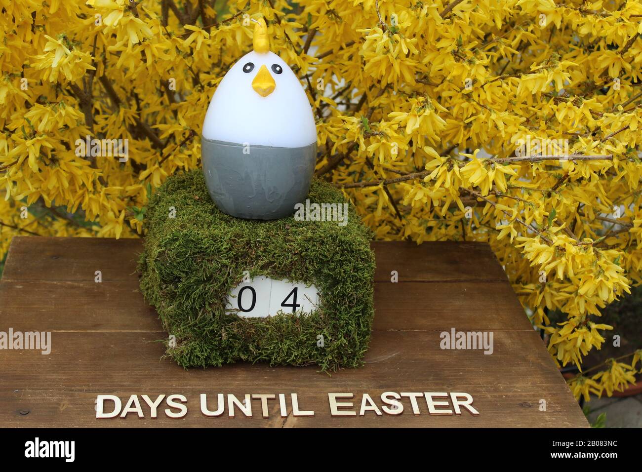 The picture shows the easter countdown with a chicken Stock Photo - Alamy