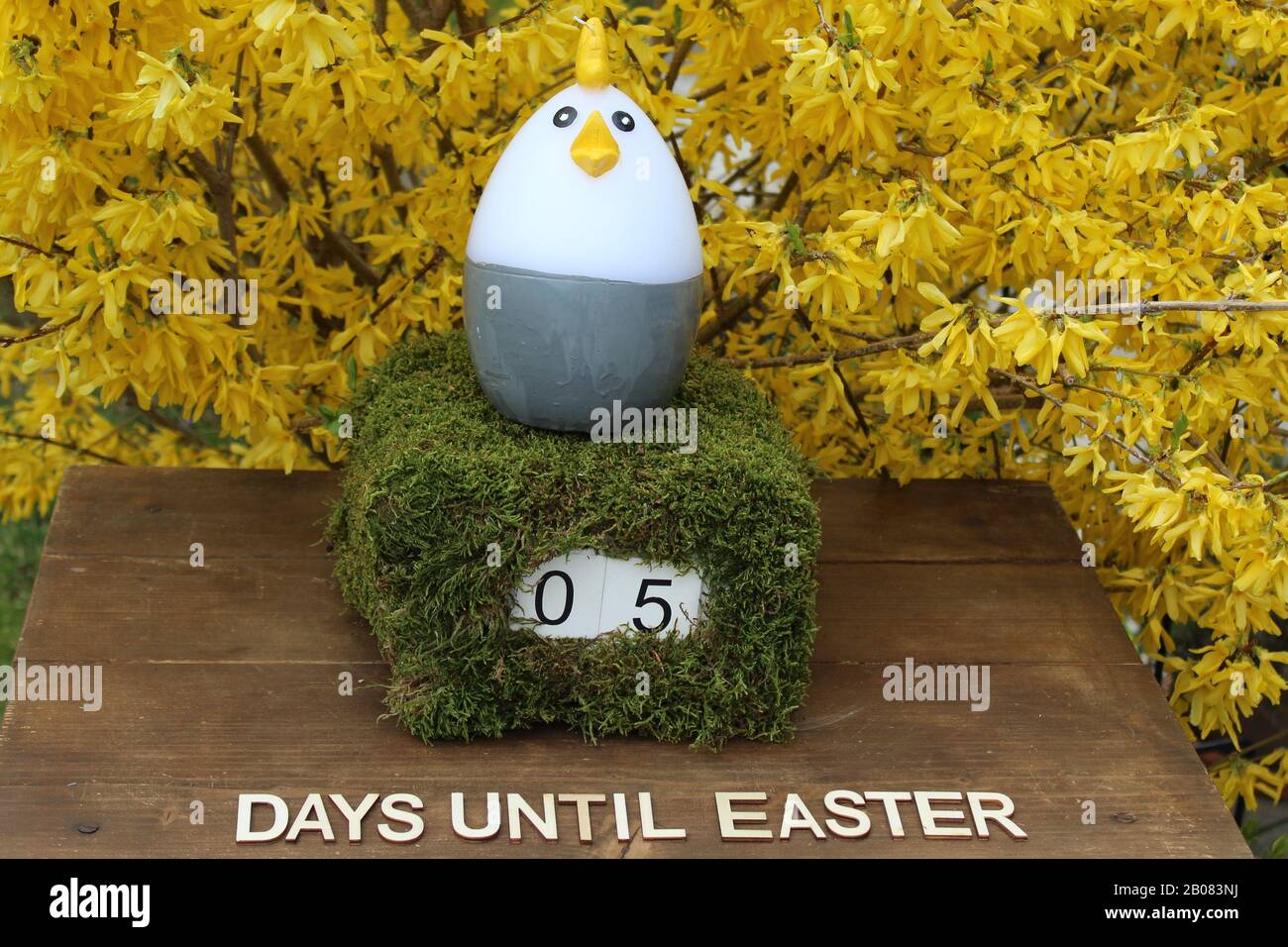The picture shows the easter countdown with a chicken Stock Photo - Alamy