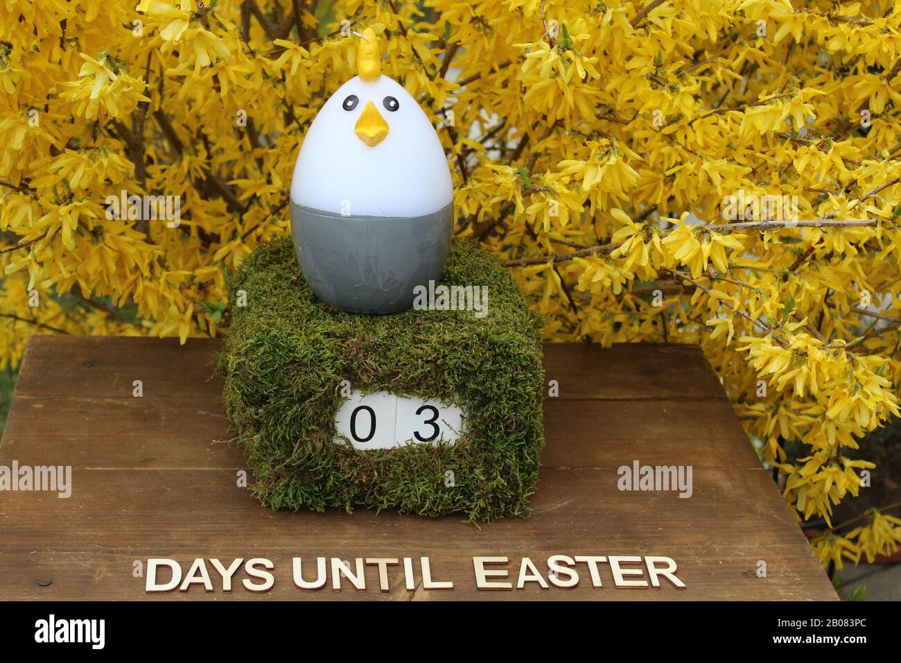 The picture shows the easter countdown with a chicken Stock Photo - Alamy