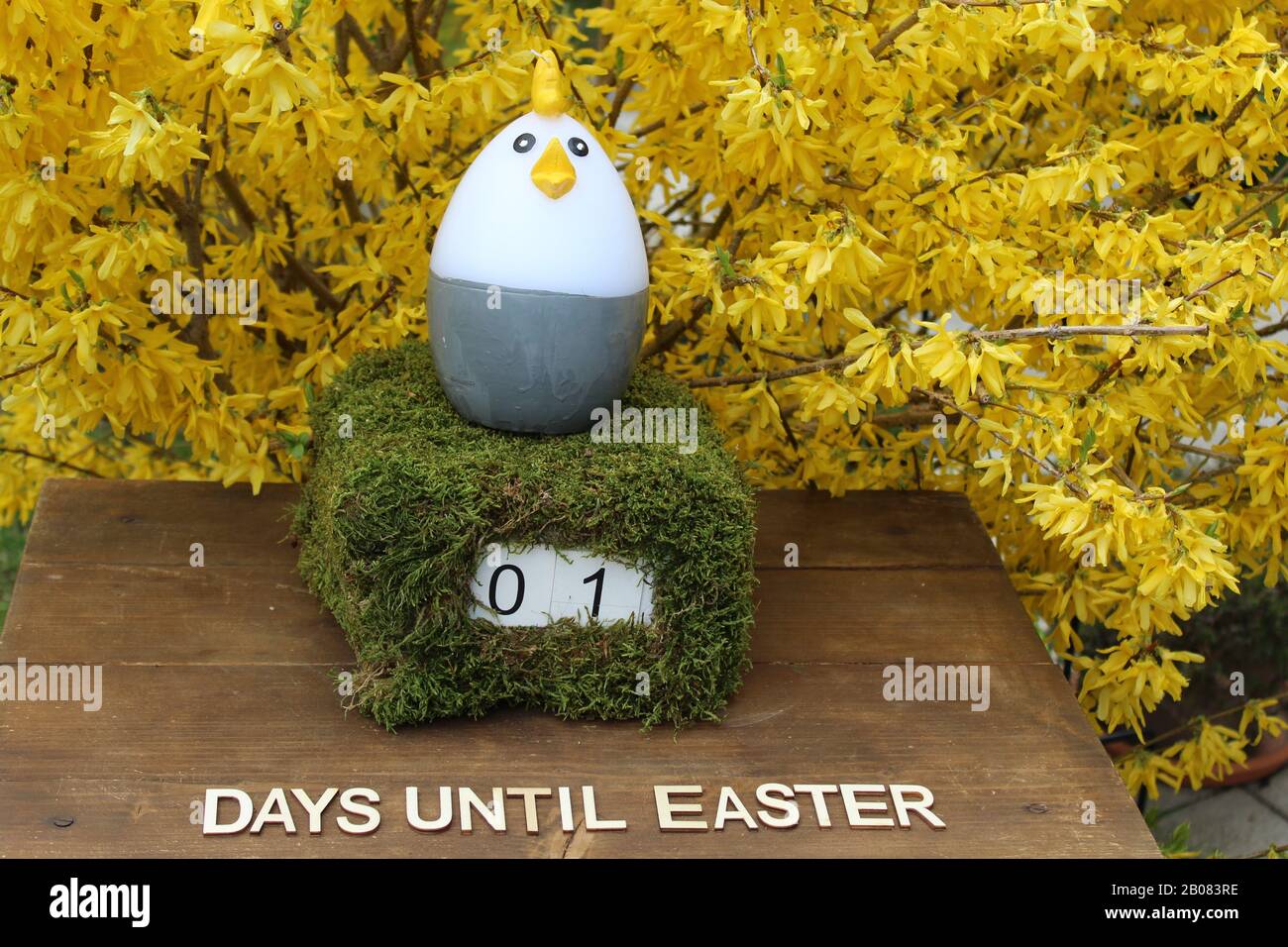 The picture shows the easter countdown with a chicken Stock Photo - Alamy