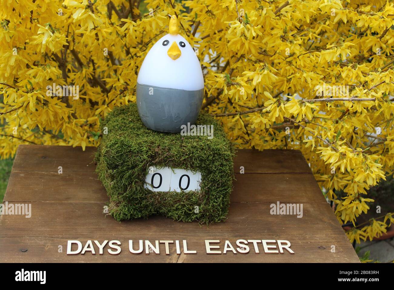 The picture shows the easter countdown with a chicken Stock Photo - Alamy