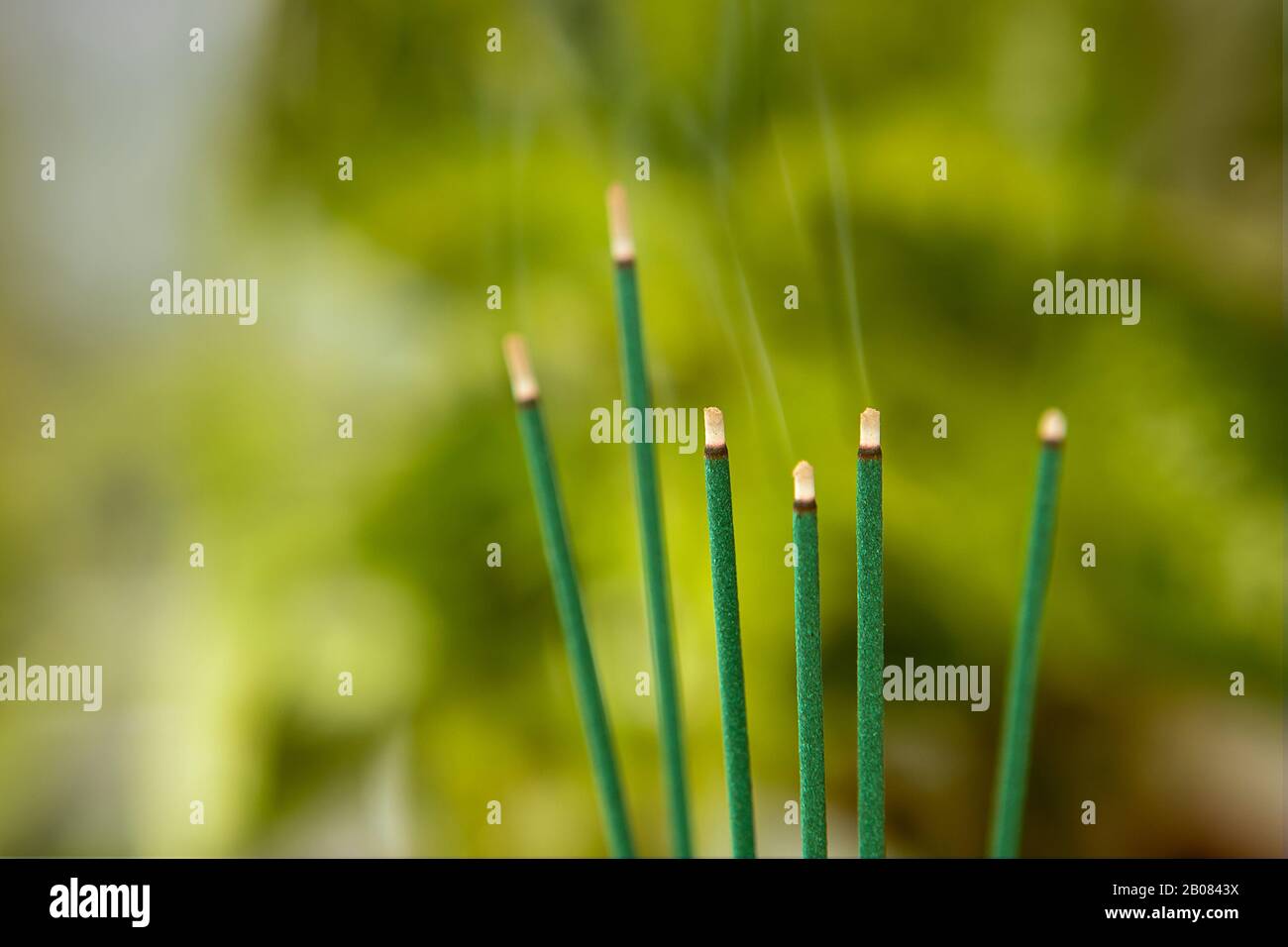 Joss nature hi-res stock photography and images - Alamy