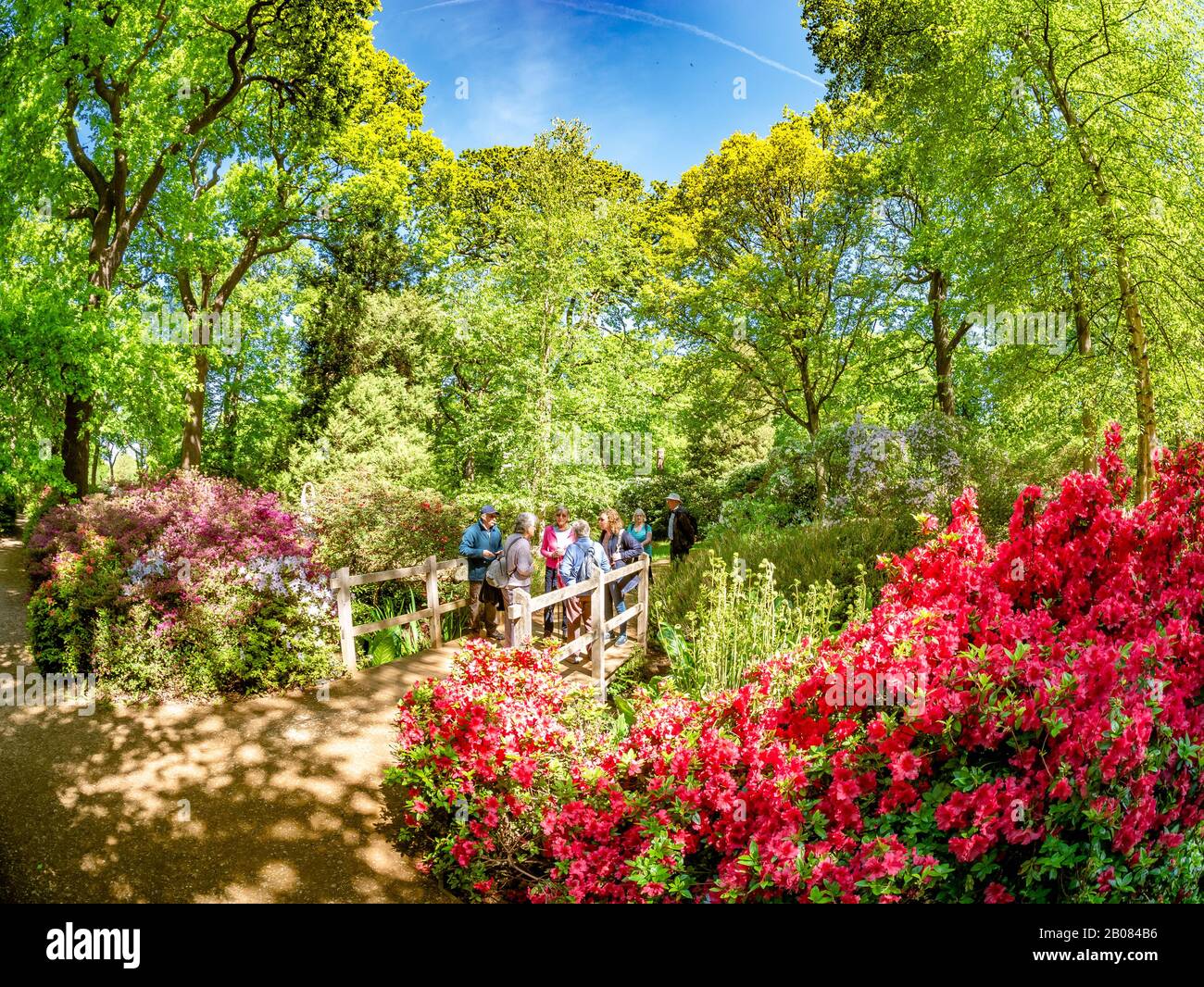 Richmond park isabella plantation landscape hi-res stock photography ...