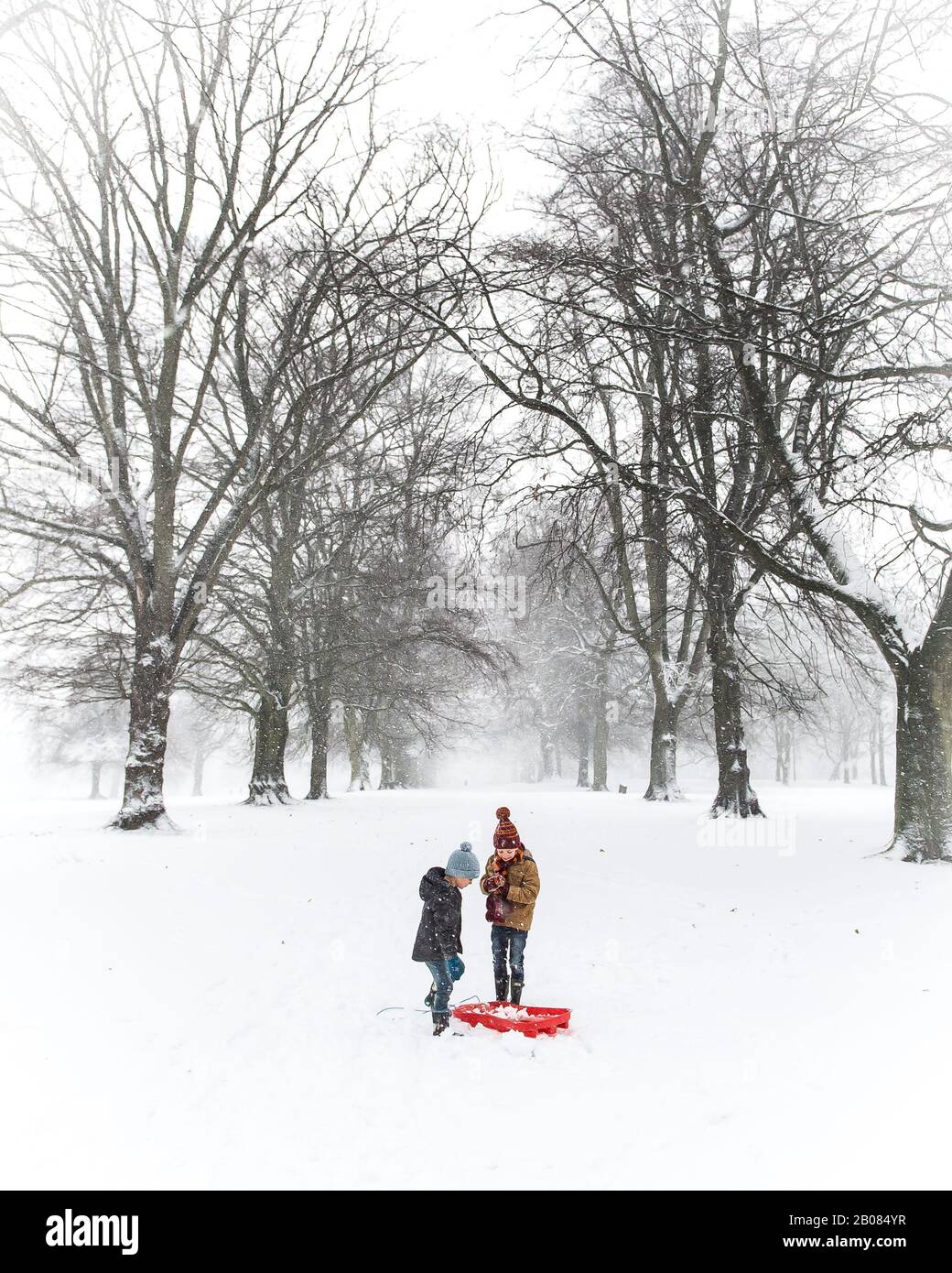 two children go sledging in the snow Stock Photo - Alamy