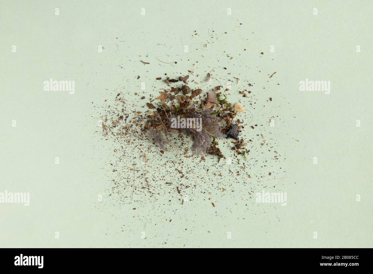 Pile of dust and dirt on green background. Housework concept Stock ...