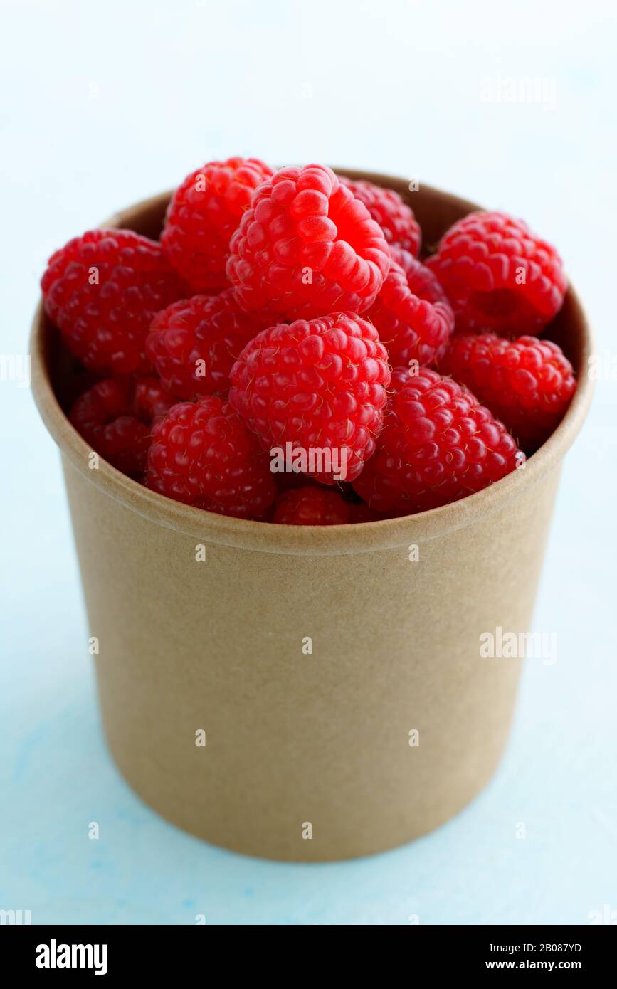 Freshly picked organic raspberries in recycled paper cup. High ...