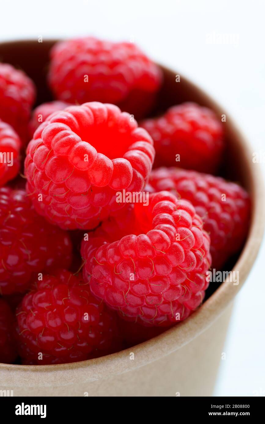 Freshly picked organic raspberries in recycled paper cup. High ...