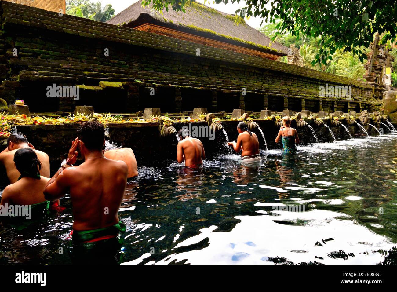 Closeup of the holy springs of Tirta Empul temple Stock Photo - Alamy