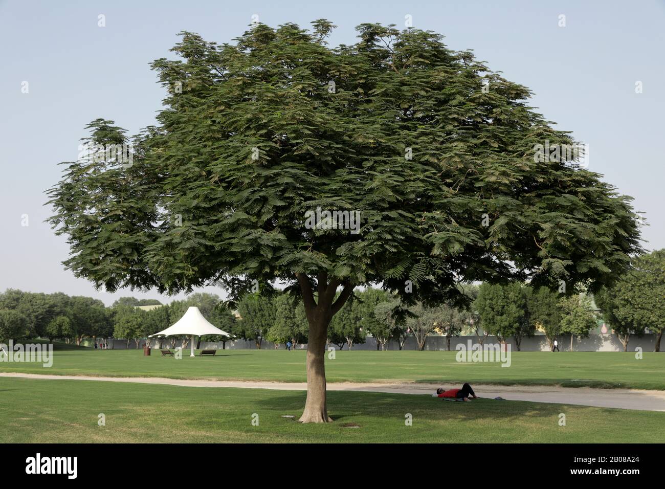 Aspire park in doha qatar hi-res stock photography and images - Alamy