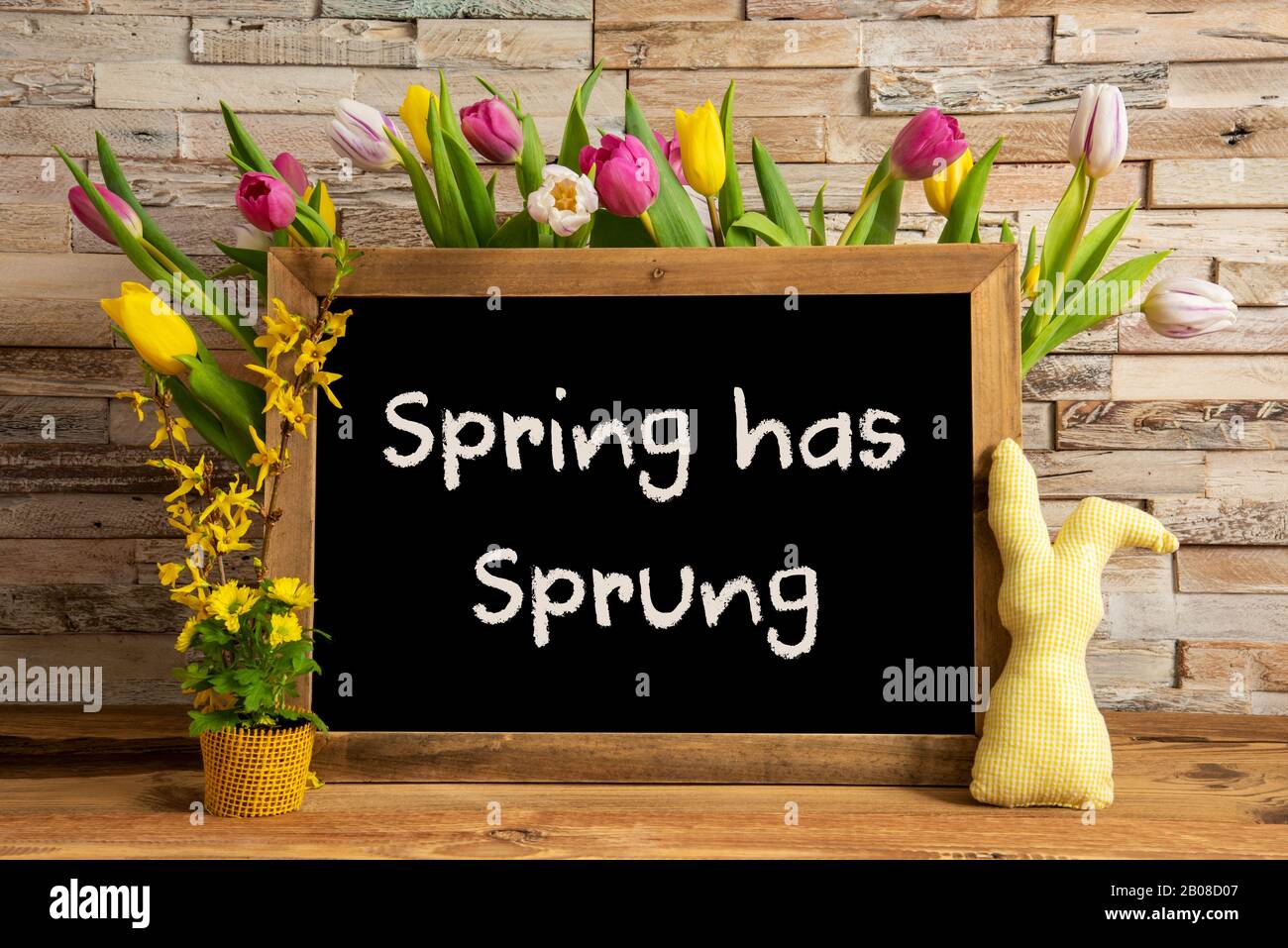 Tulip Flowers, Bunny, Brick Wall, Blackboard, Text Spring Has Sprung ...