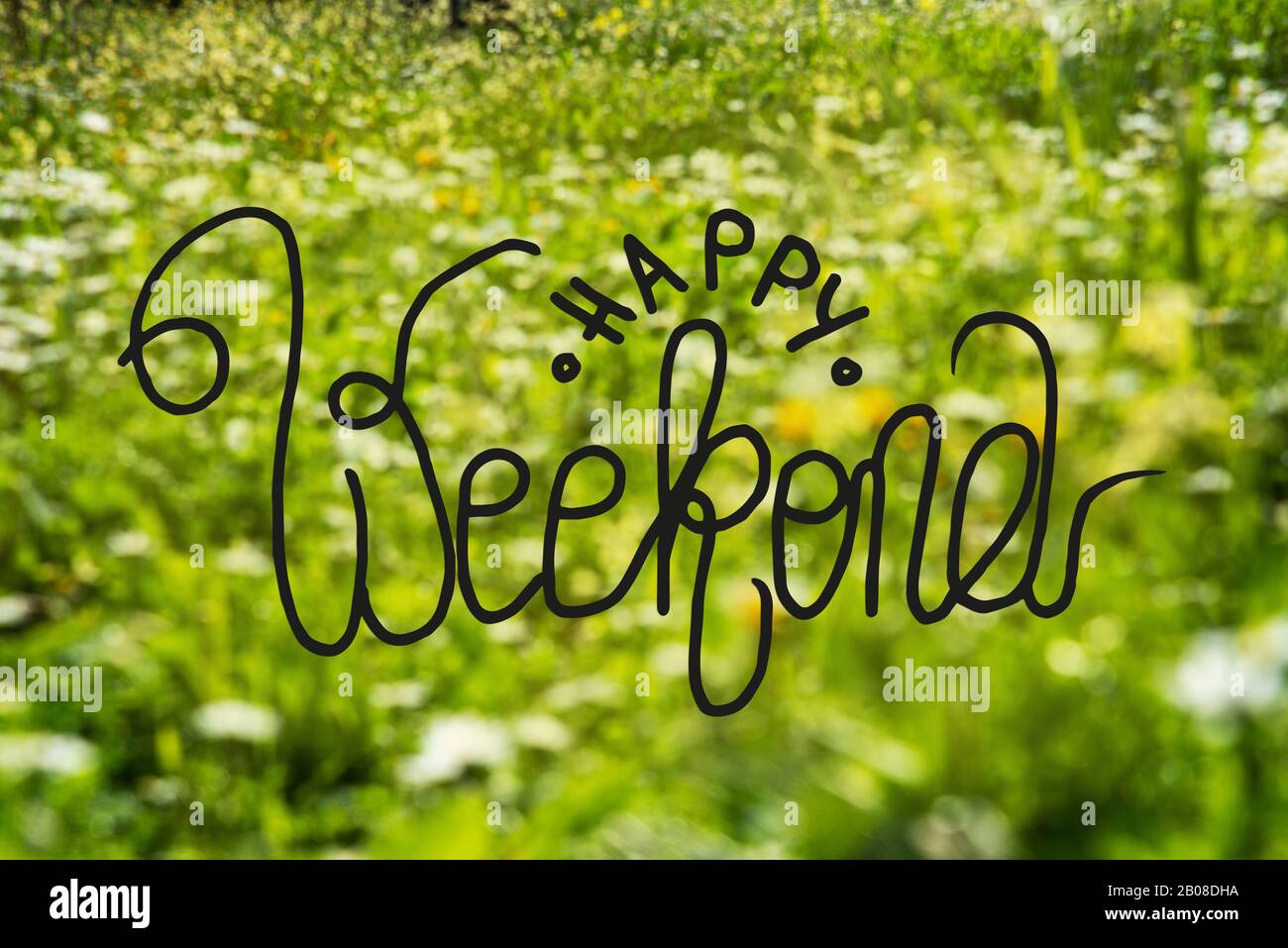 Daisy And Yellow Flower Meadow, Calligraphy Happy Weekend Stock Photo ...