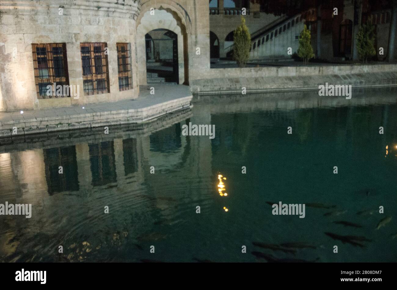 Urfa sacred pond hi-res stock photography and images - Alamy