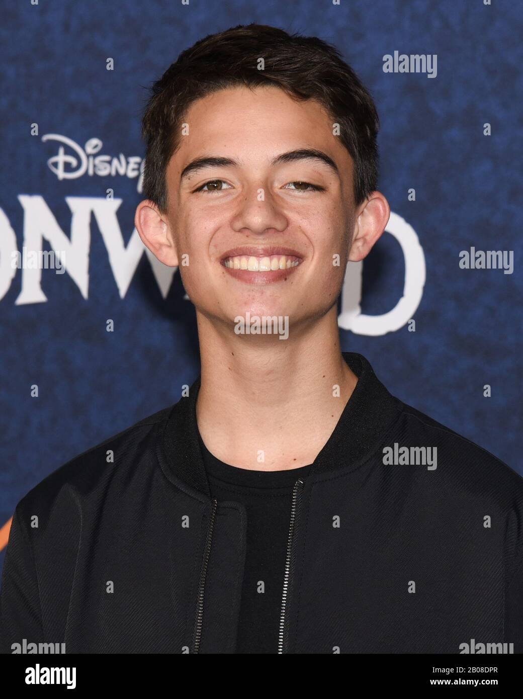 18 February 2020 - Hollywood, California - Max Torina. Premiere Of ...
