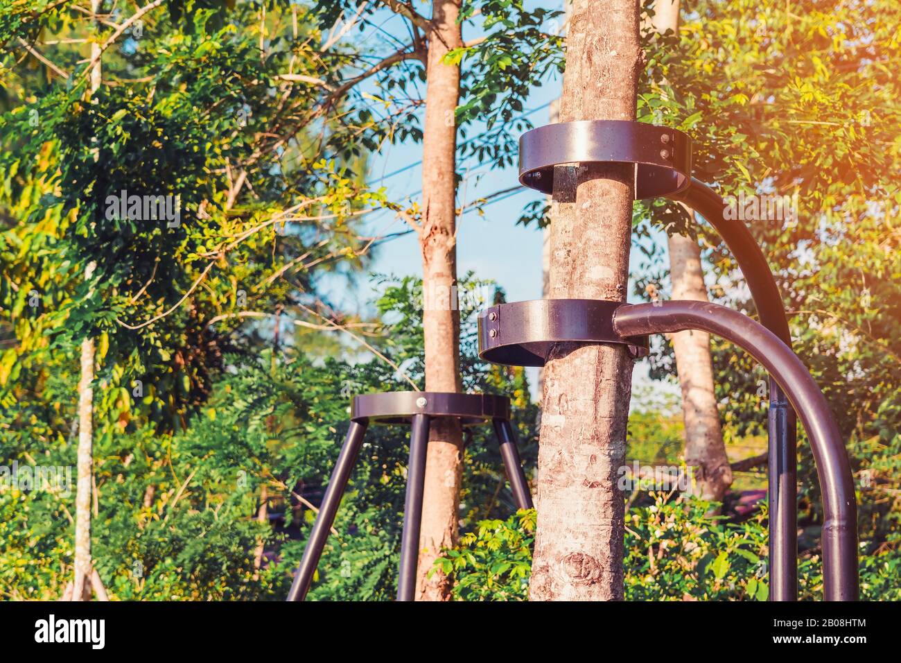 Black steel column supports and controls the branches and trunks of the ...