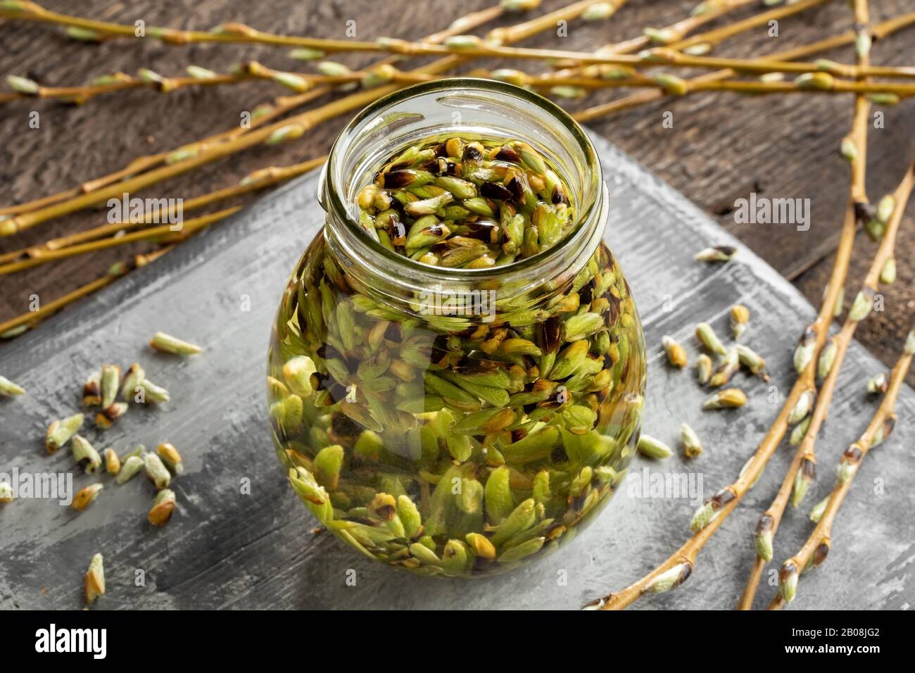 Preparation of a gemmotherapy tincture from young white willow buds in ...
