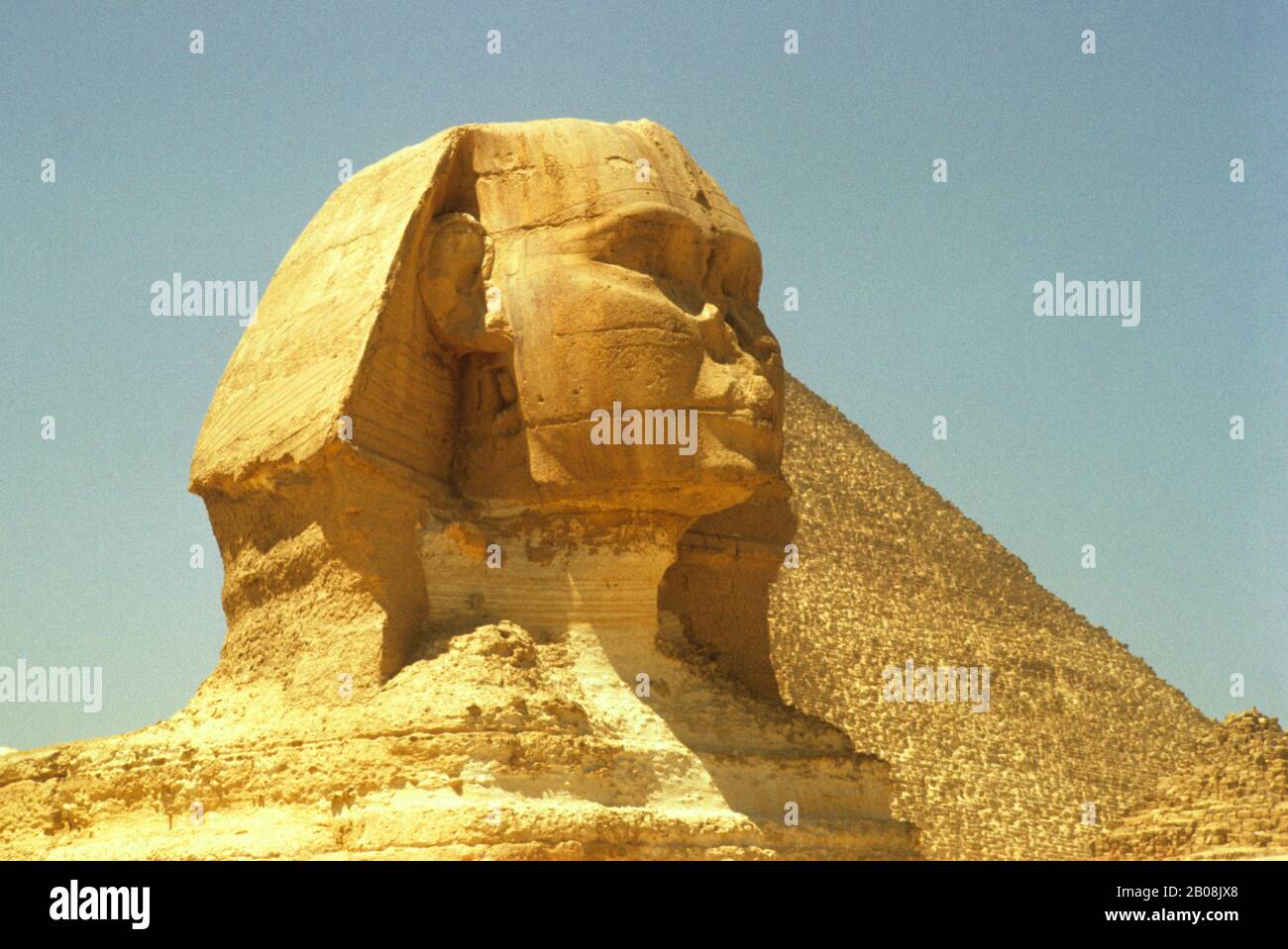 EGYPT, CAIRO, VIEW OF THE SPHINX Stock Photo - Alamy