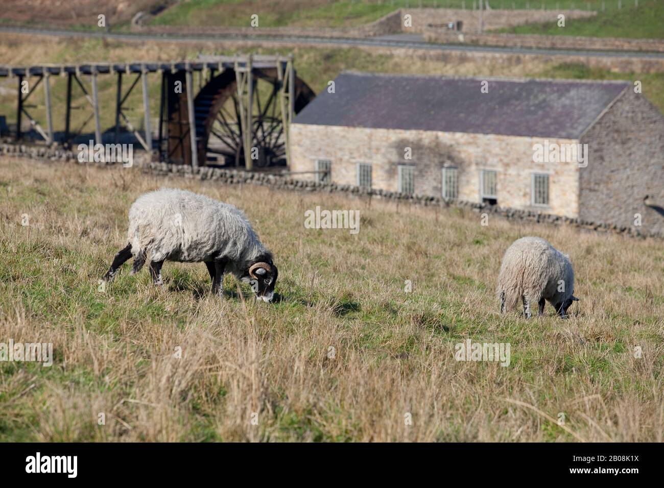 Weardale landscape Co Durham Stock Photo - Alamy