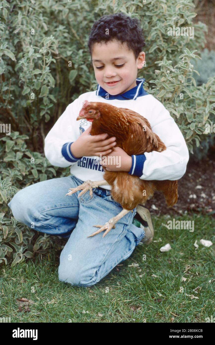 young boy holding a chicken Stock Photo - Alamy