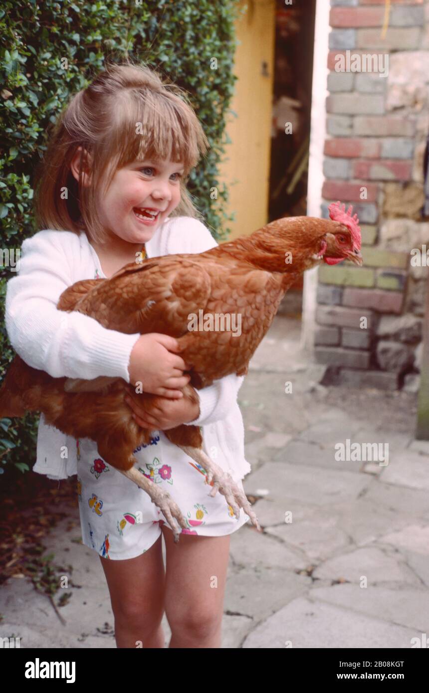 little girl holding a chicken Stock Photo - Alamy