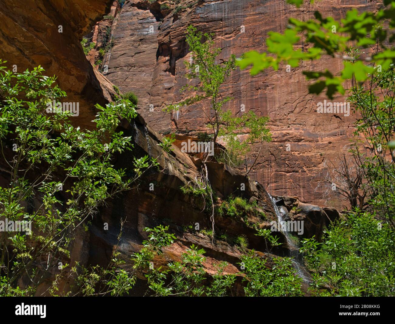The clear water plunges over the red rocks into the depth Stock Photo ...