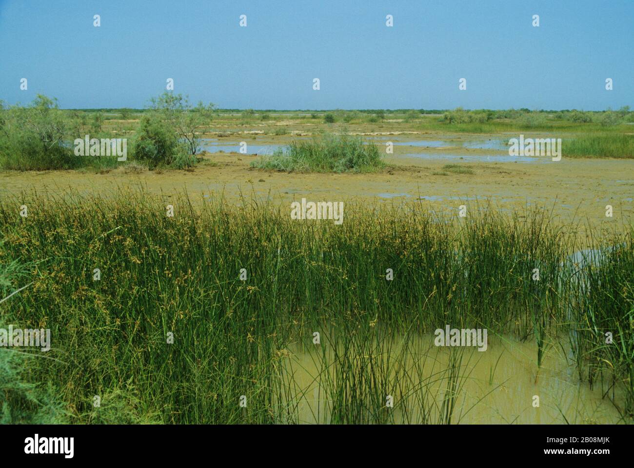 Senegal landscape africa hi-res stock photography and images - Alamy