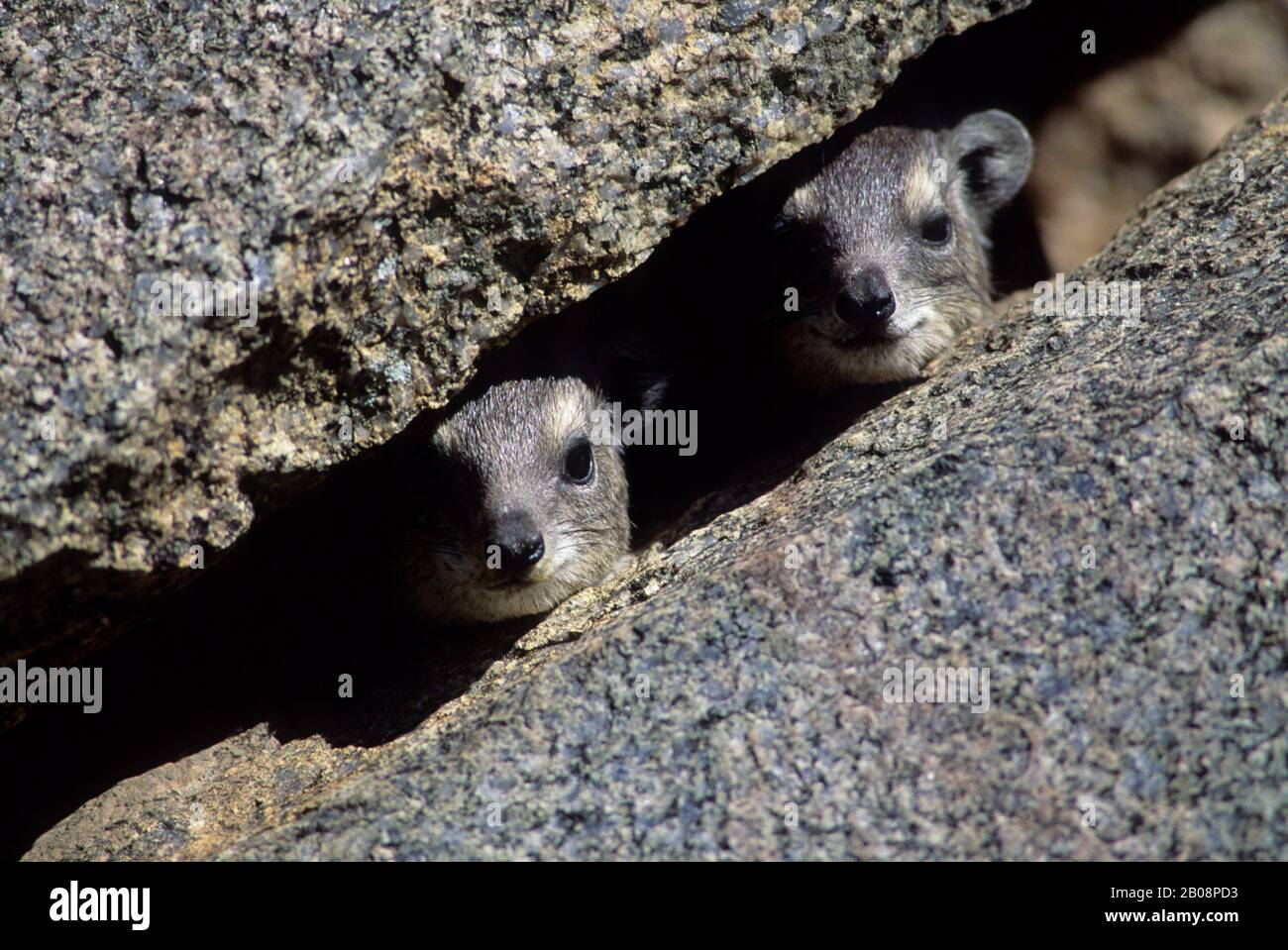 Kopje rock hi-res stock photography and images - Alamy