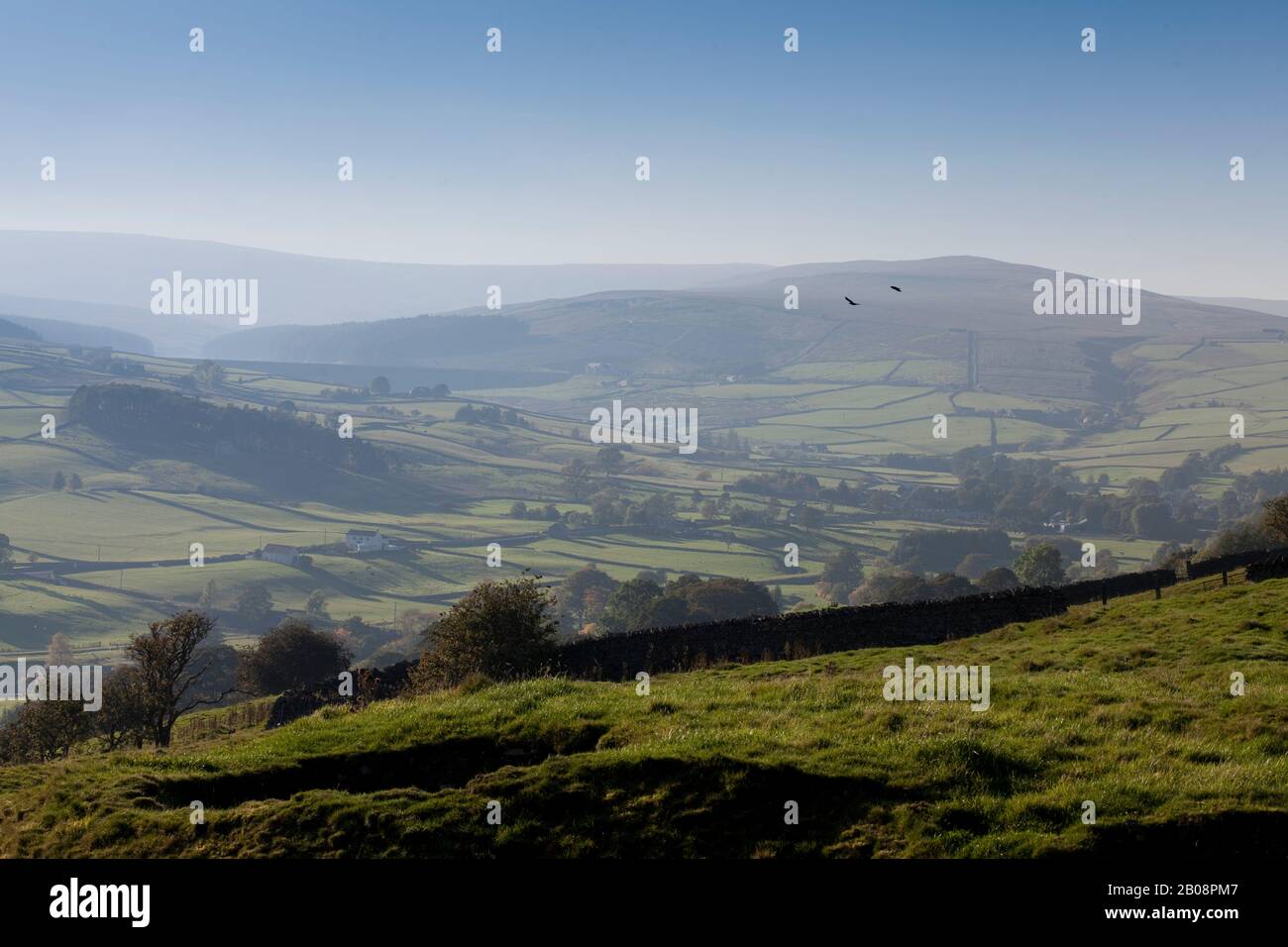 Weardale landscape Co Durham Stock Photo - Alamy