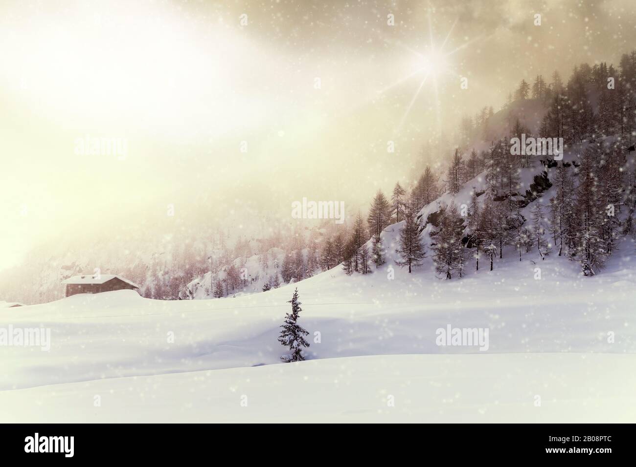 winter landscape with fresh snow Stock Photo - Alamy