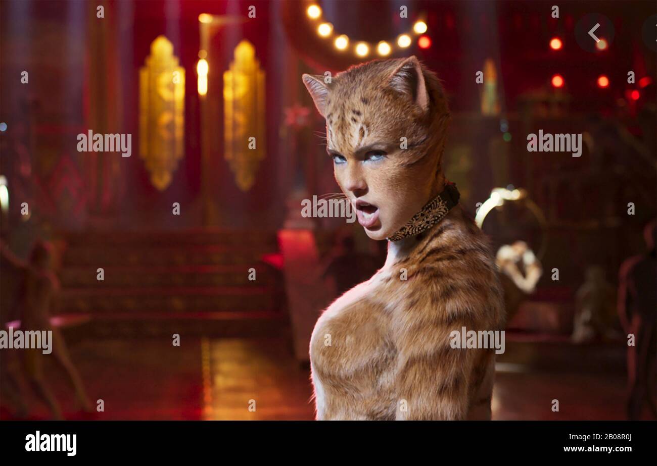 Cats musical hi-res stock photography and images - Alamy