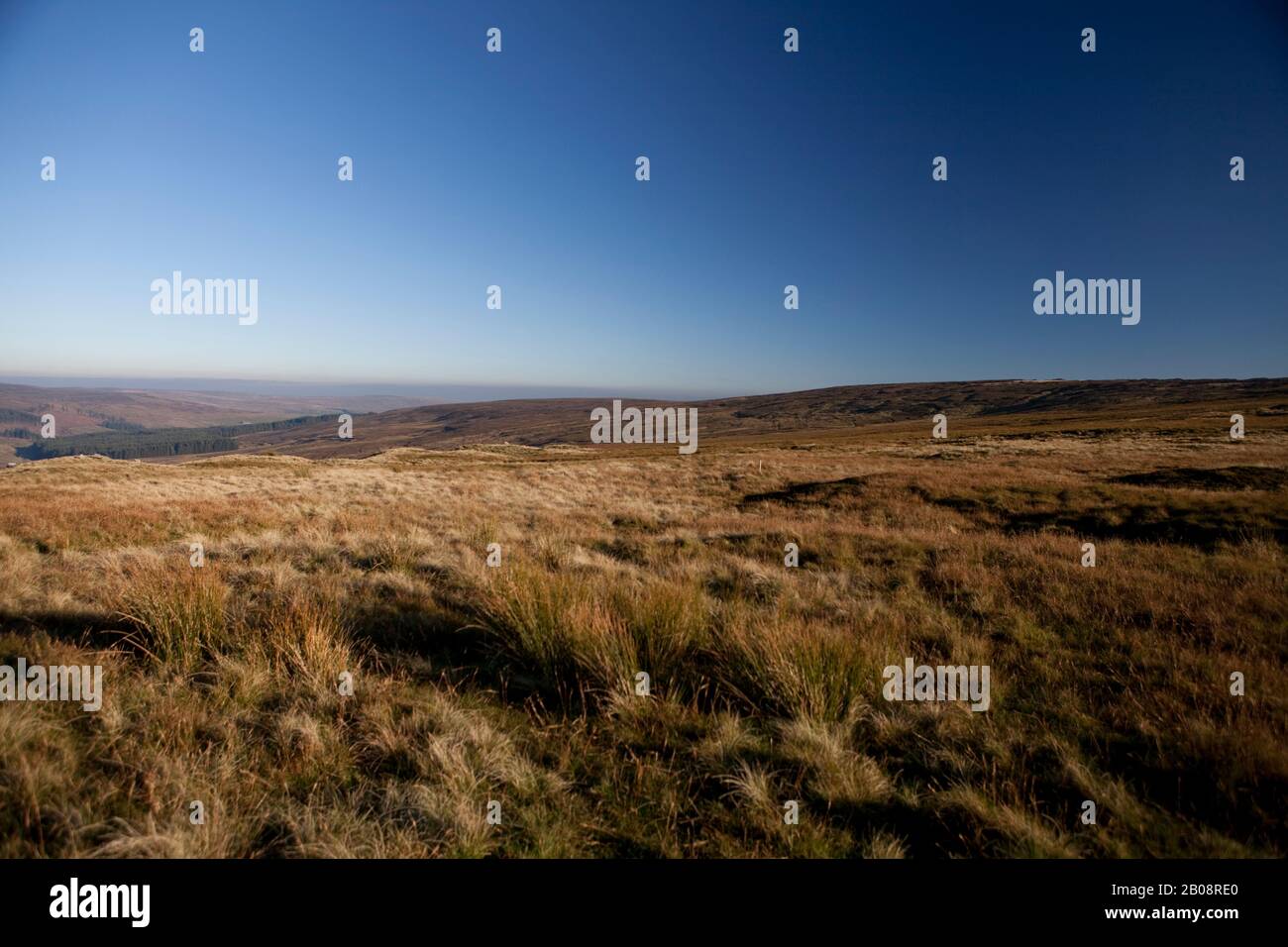 Weardale landscape Co Durham Stock Photo - Alamy