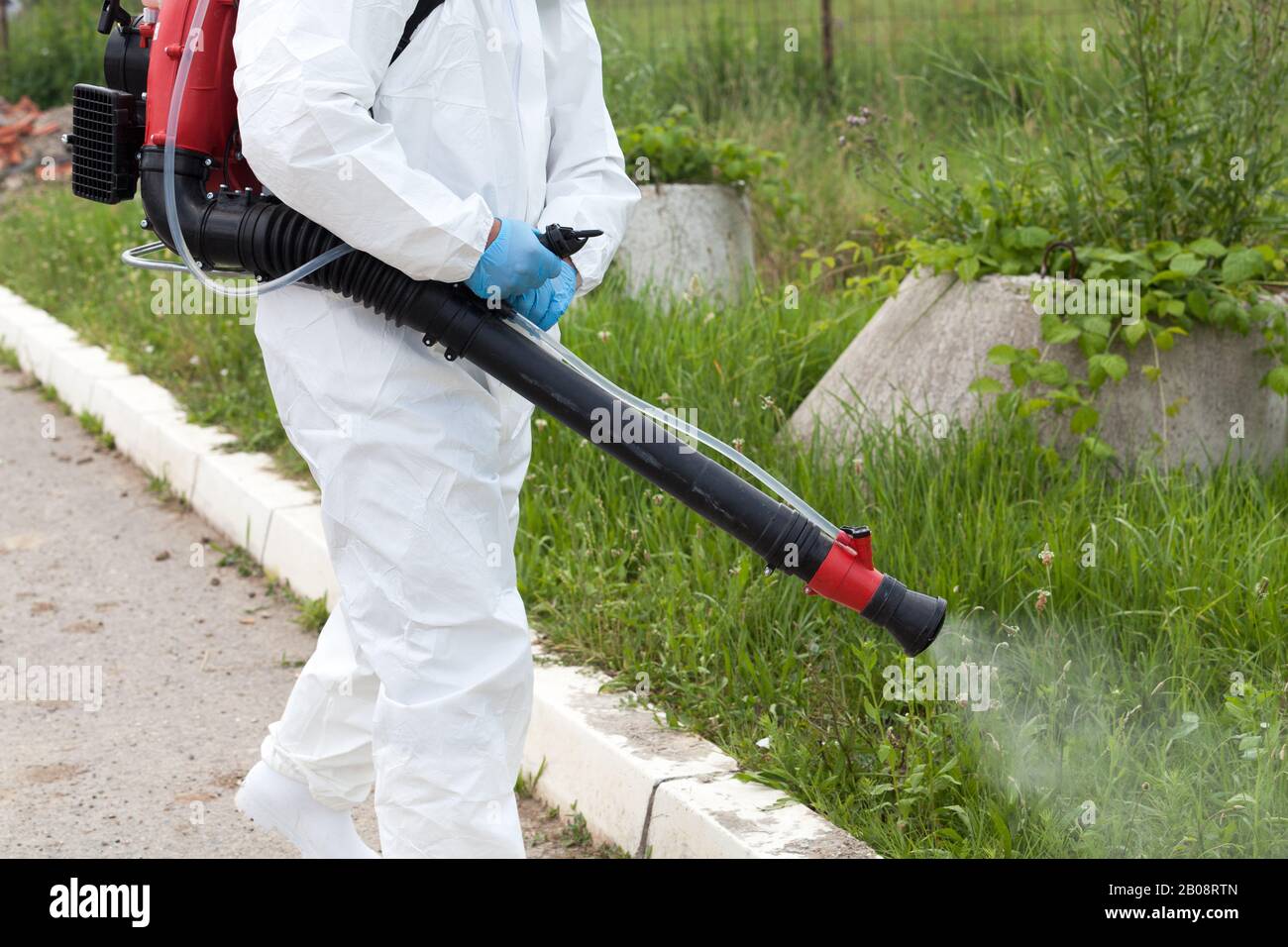 Pest controlling insect hi-res stock photography and images - Alamy