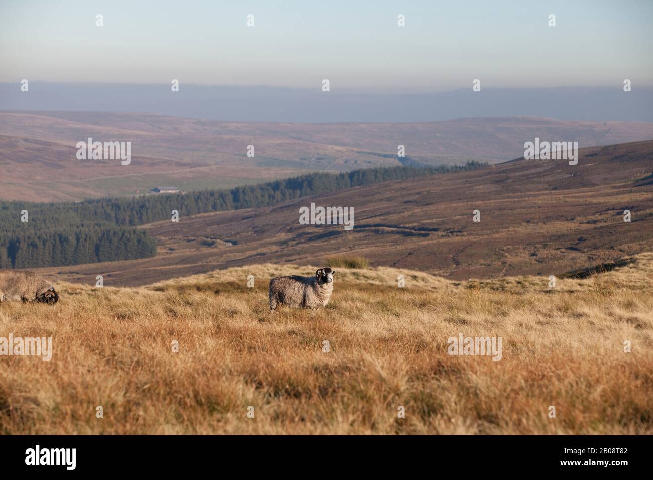Weardale landscape Co Durham Stock Photo - Alamy