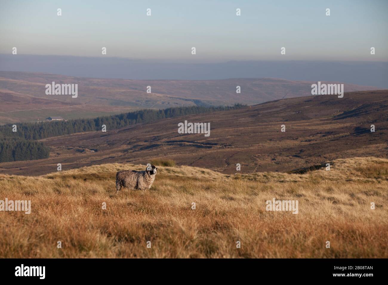 Weardale landscape Co Durham Stock Photo - Alamy