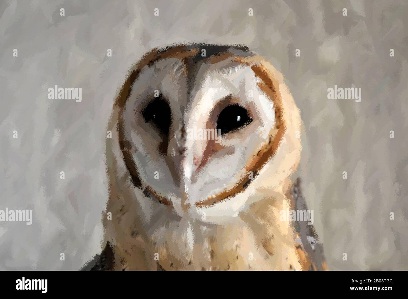 Barn Owl Eyes Art